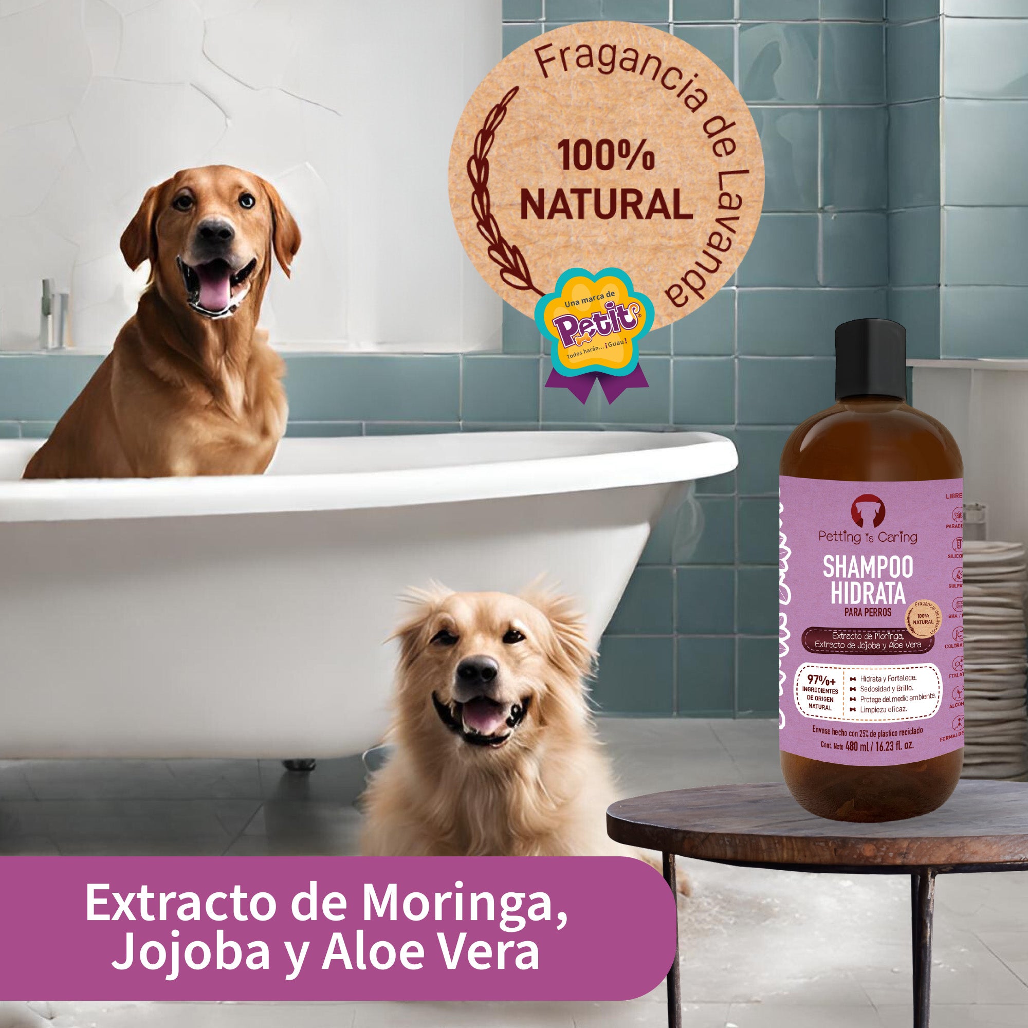 Shampoo para perro: HIDRATA – AKSI Herramientas